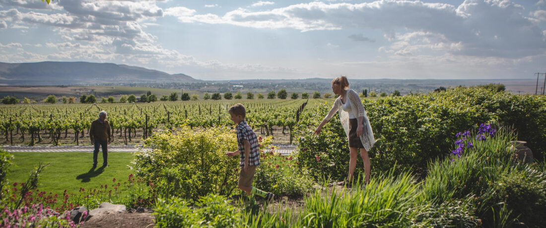 Hedges Family Estate | Farm & Family