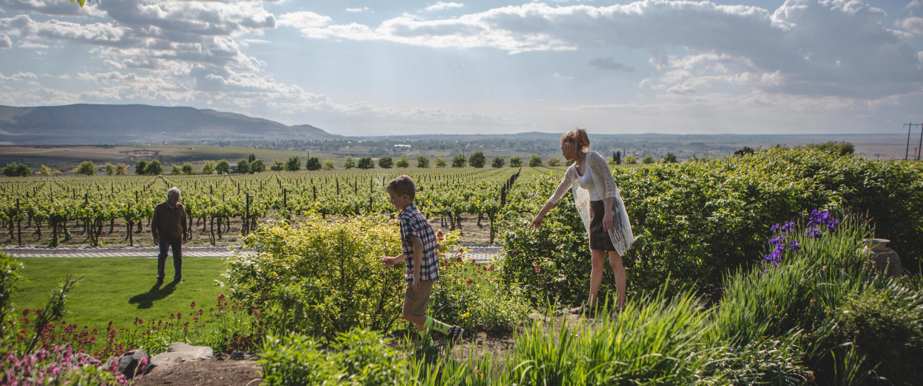 Hedges Family Estate | Farm & Family